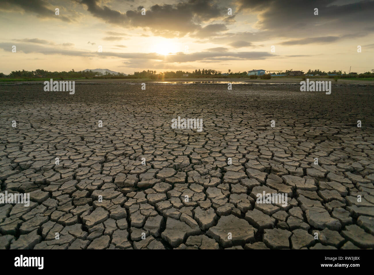 Crack soil during drought dry season at countryside in borneo Stock ...