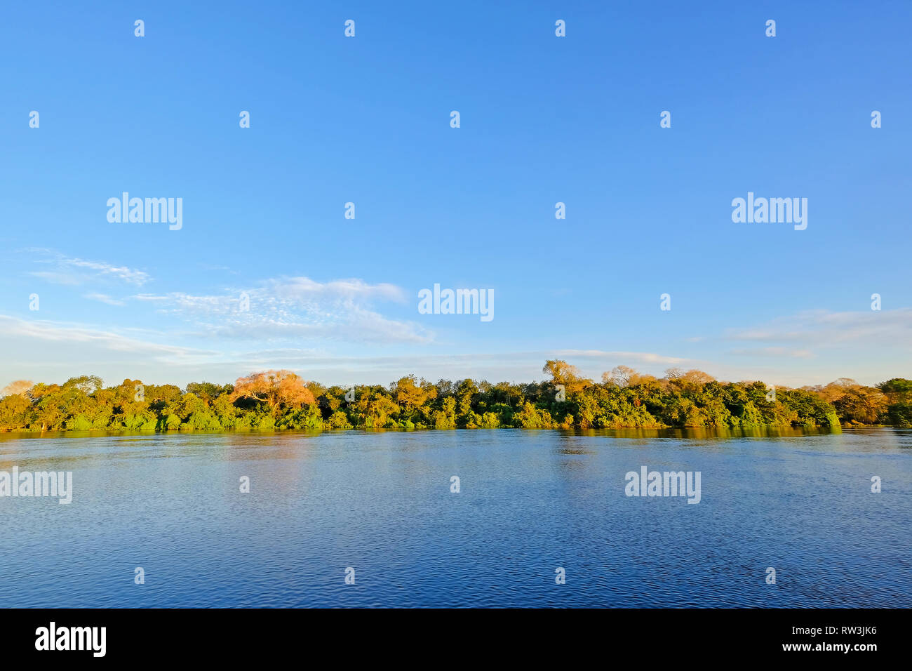 Paraguay river hi-res stock photography and images - Alamy