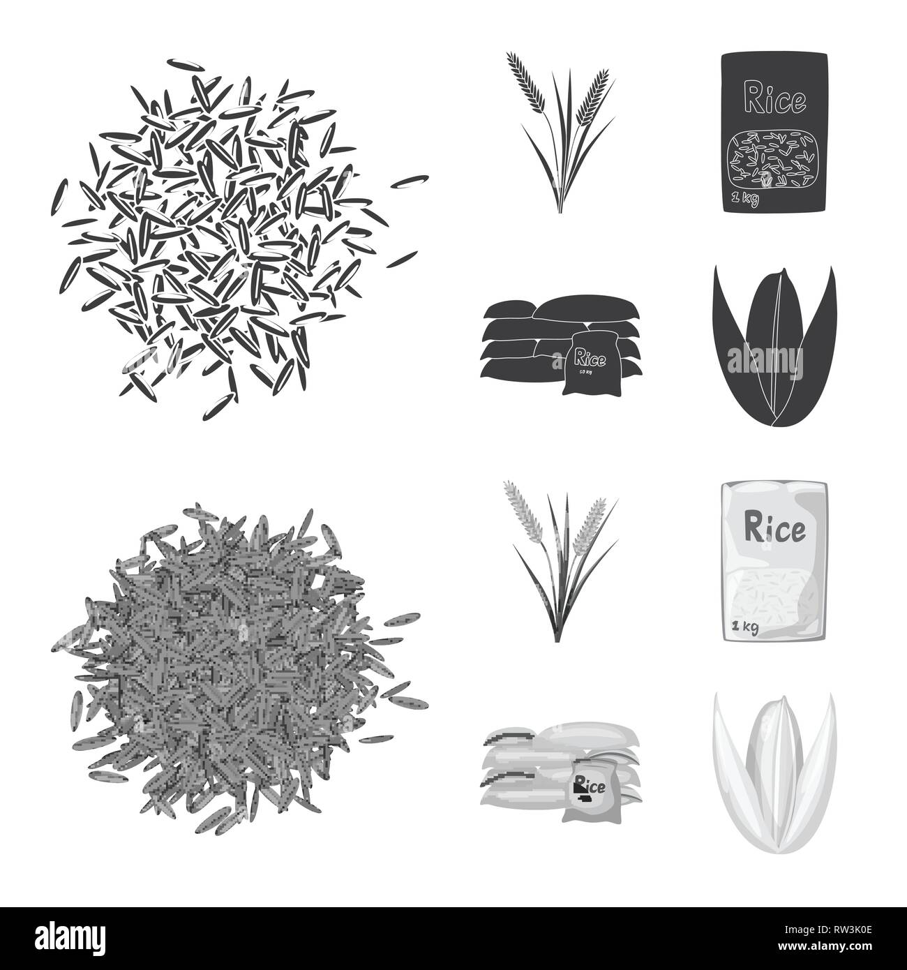 grain,packet,bag,rice,unpolished,leaf,white,seed,garden,wholesale ...