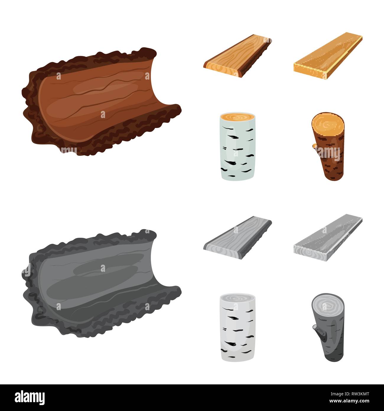 Beech tree bark Stock Vector Images - Alamy