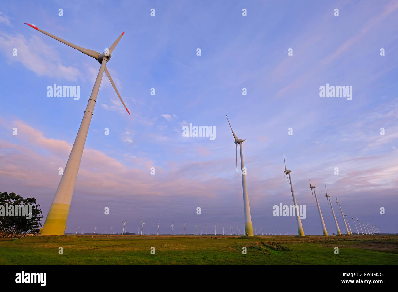 Wind turbines farm at sunset, high voltage, the future of renewable ...