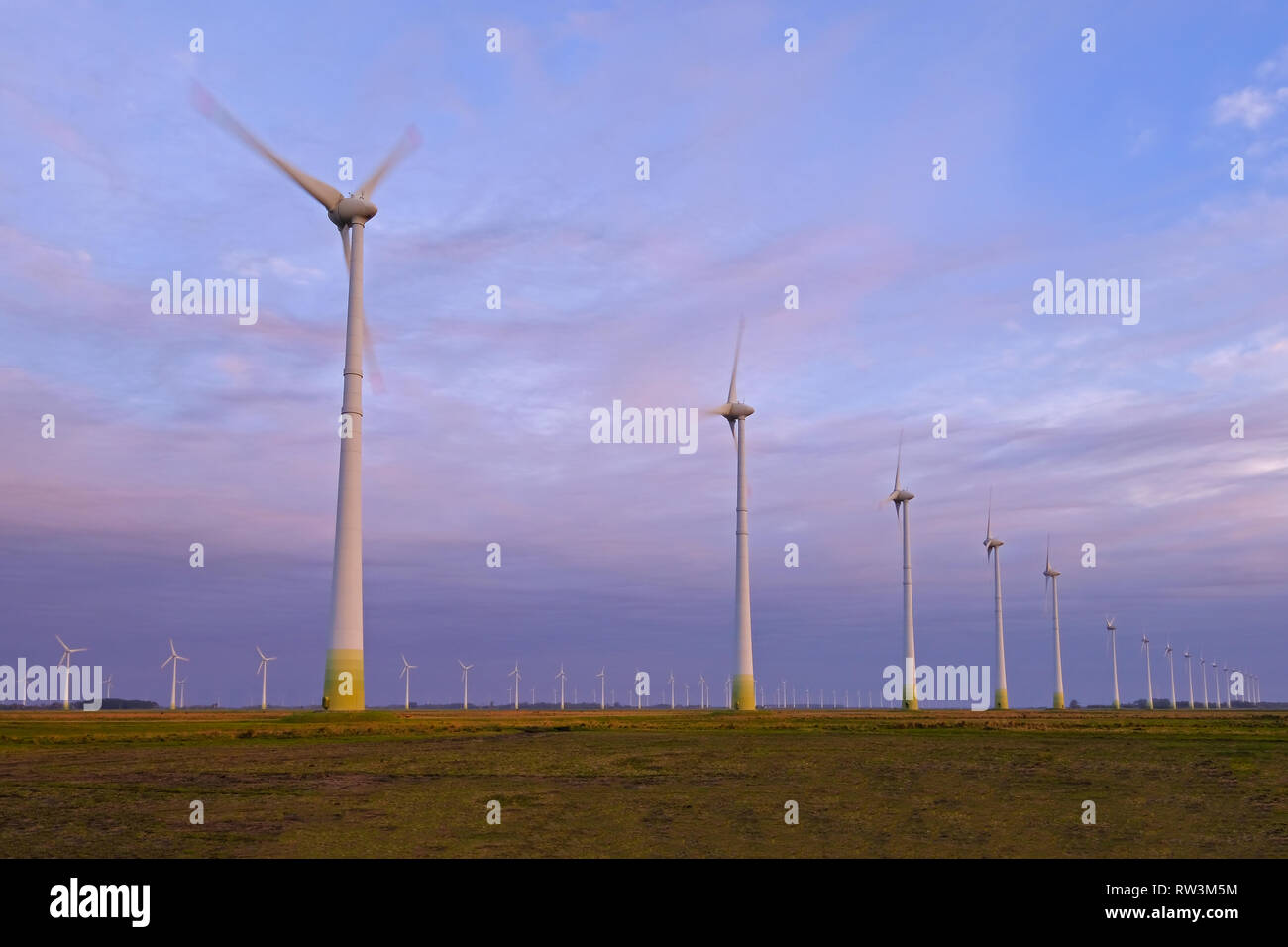 Wind turbines farm at sunset, high voltage, the future of renewable ...