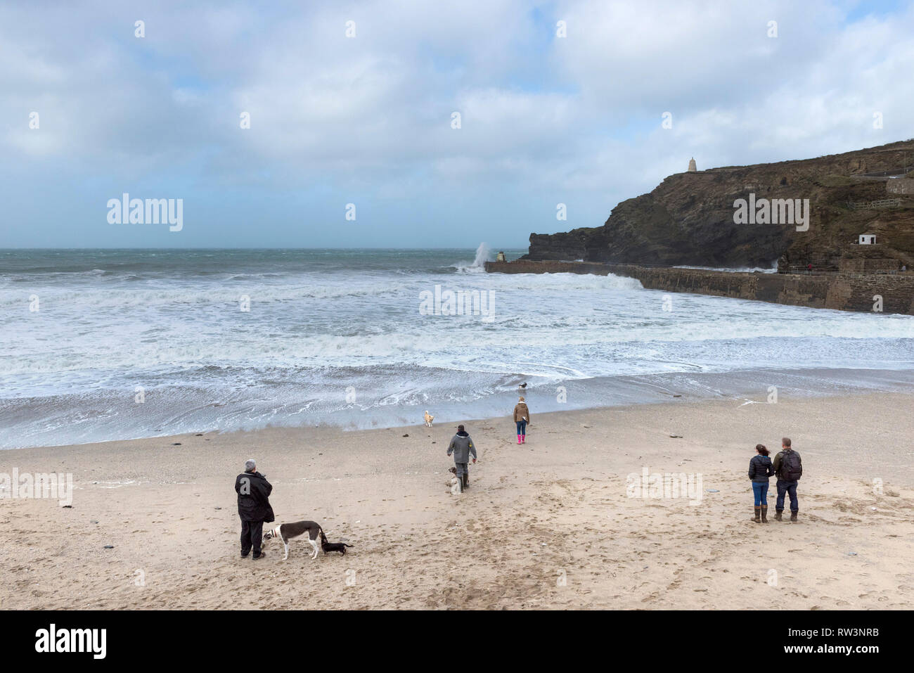 Friendly sea animals hi-res stock photography and images - Alamy