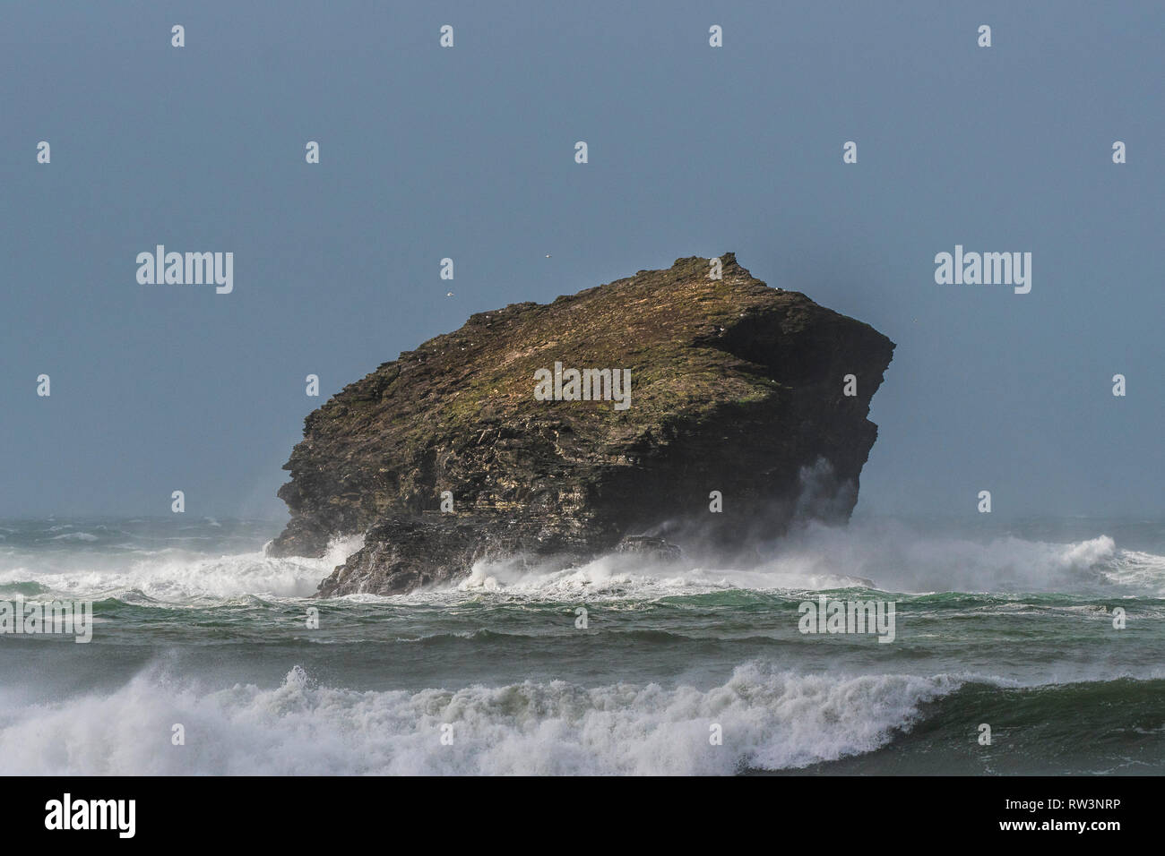 Gull rock cornwall hi-res stock photography and images - Alamy