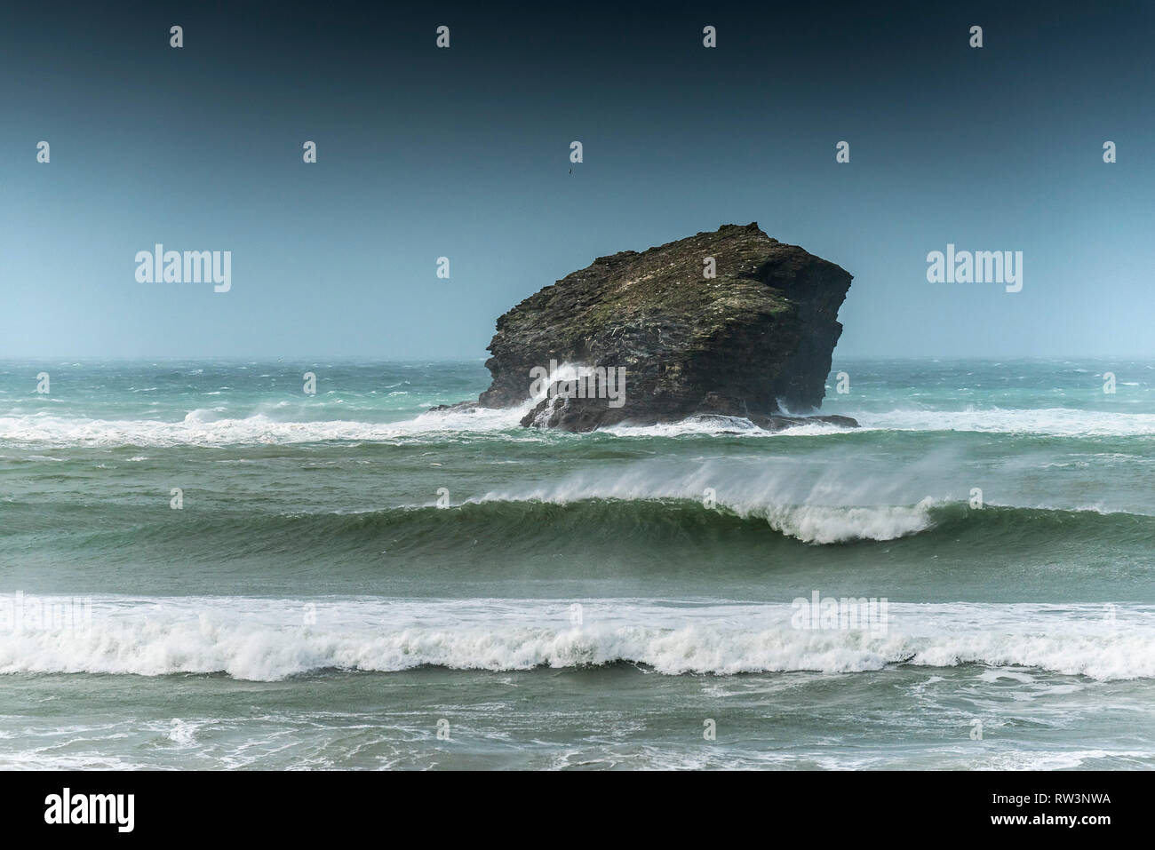 Gull rock cornwall hi-res stock photography and images - Alamy