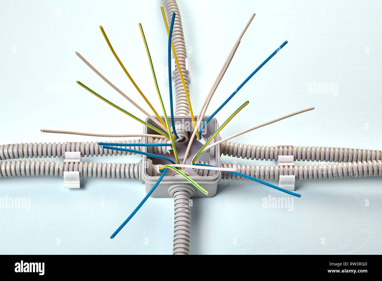 Installing surface mounted wiring on electrical junction box, close-up ...