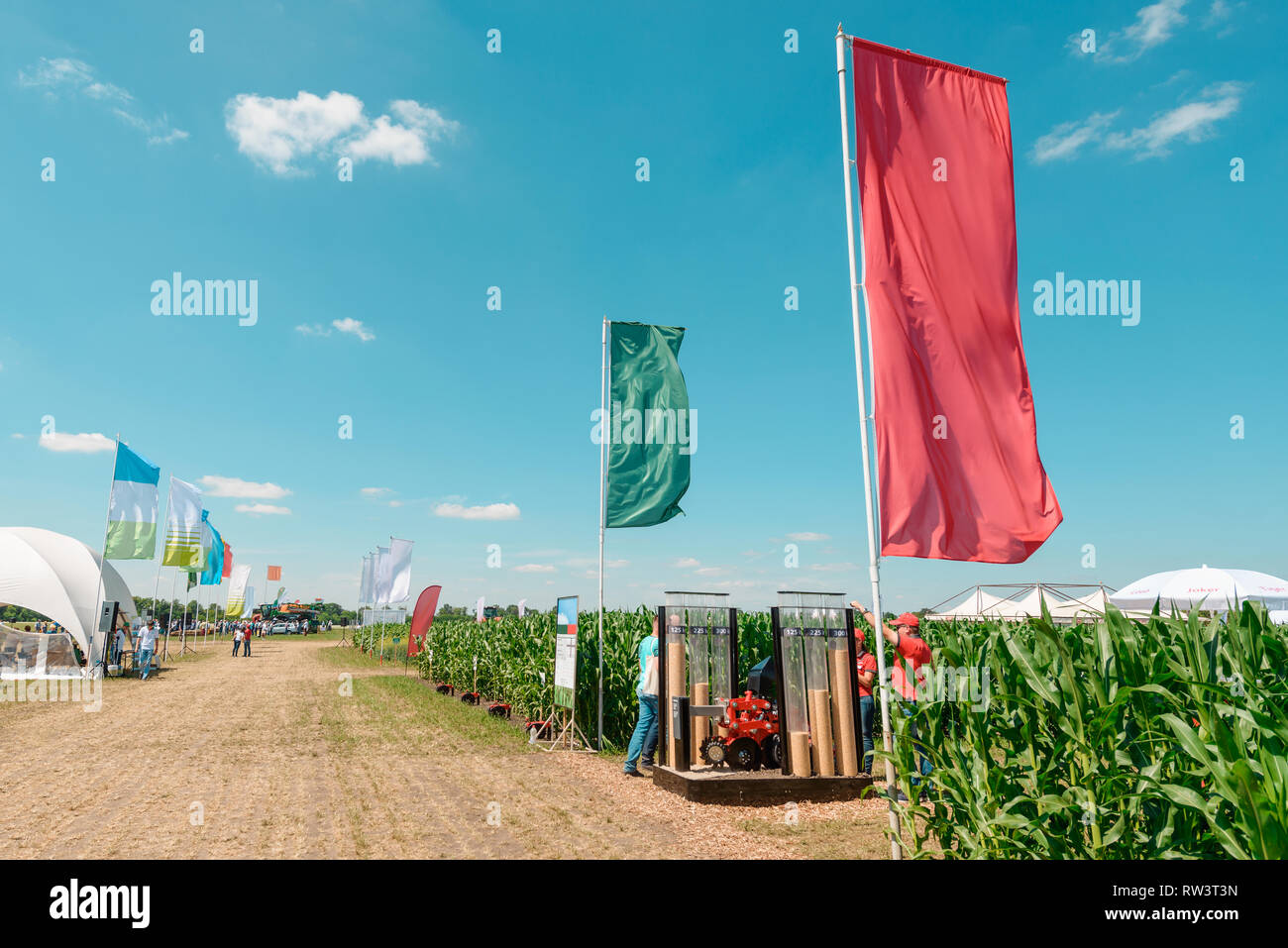 Corn flag plant hi-res stock photography and images - Alamy