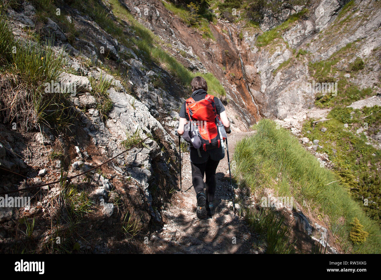Woman hiking in the mountains of Bavarian Alps with red hiking backpack ...
