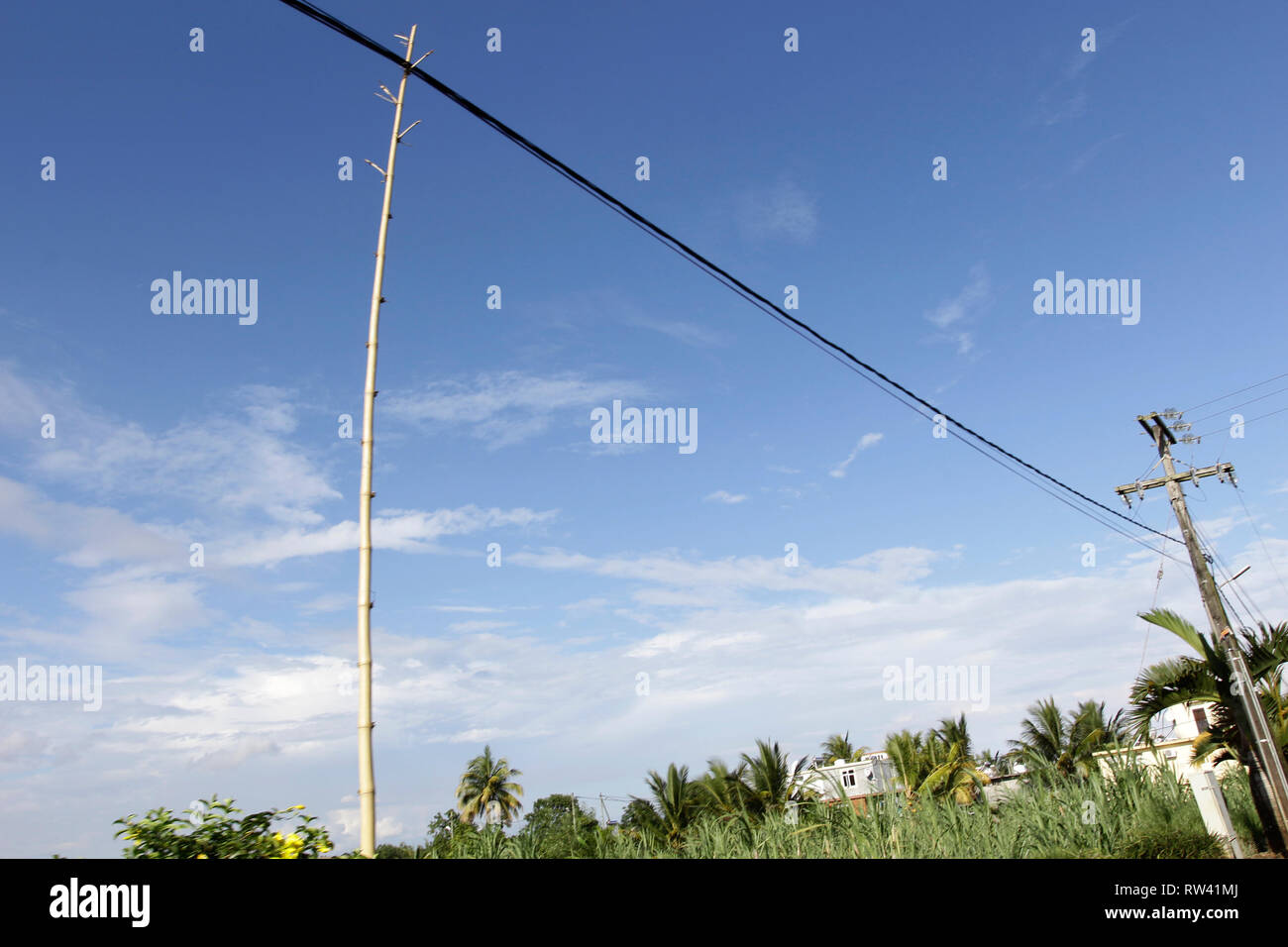 Château Bénarès est un petit village dans le sud, sis entre les ...
