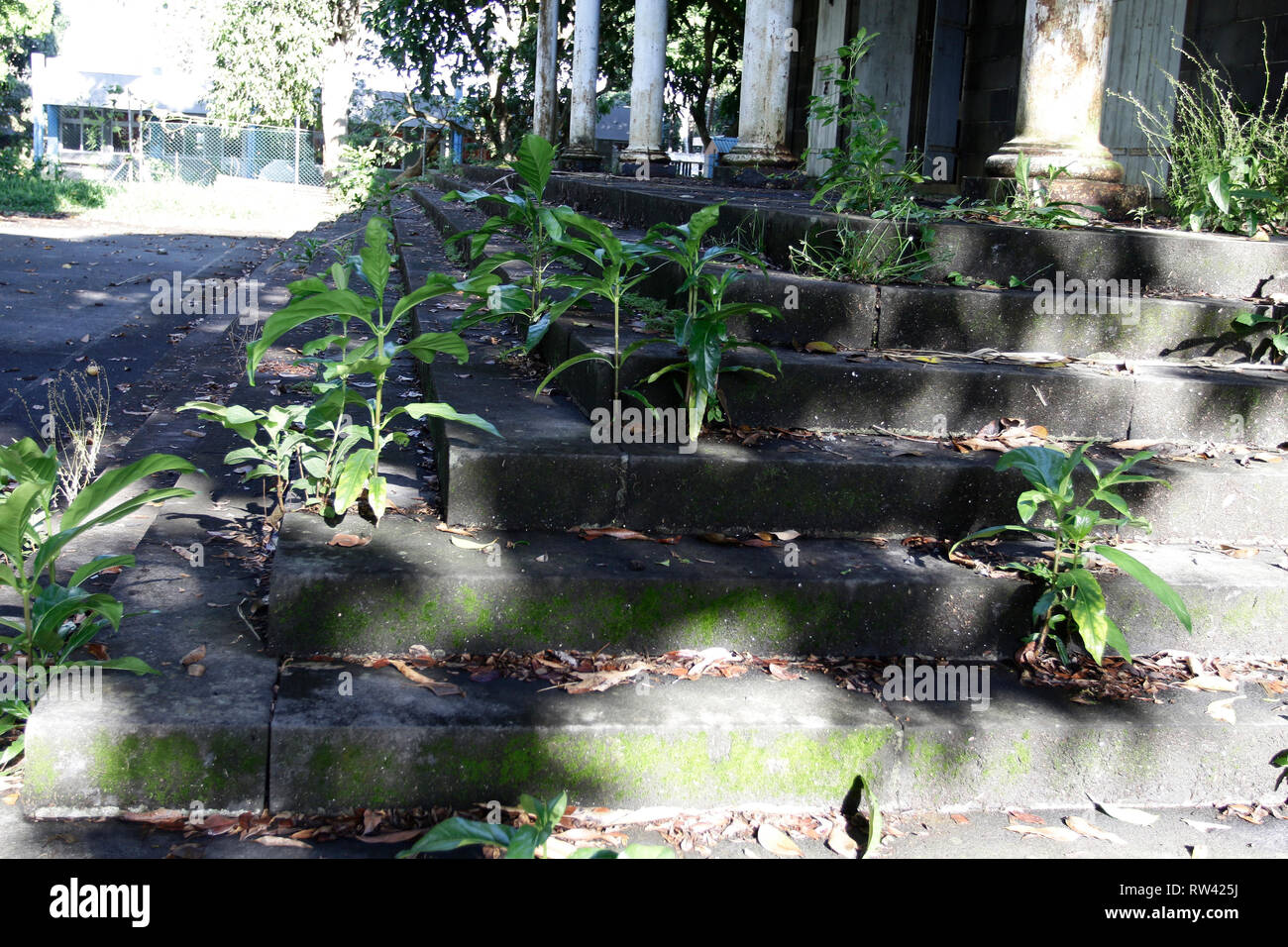 Que diable hi-res stock photography and images - Alamy