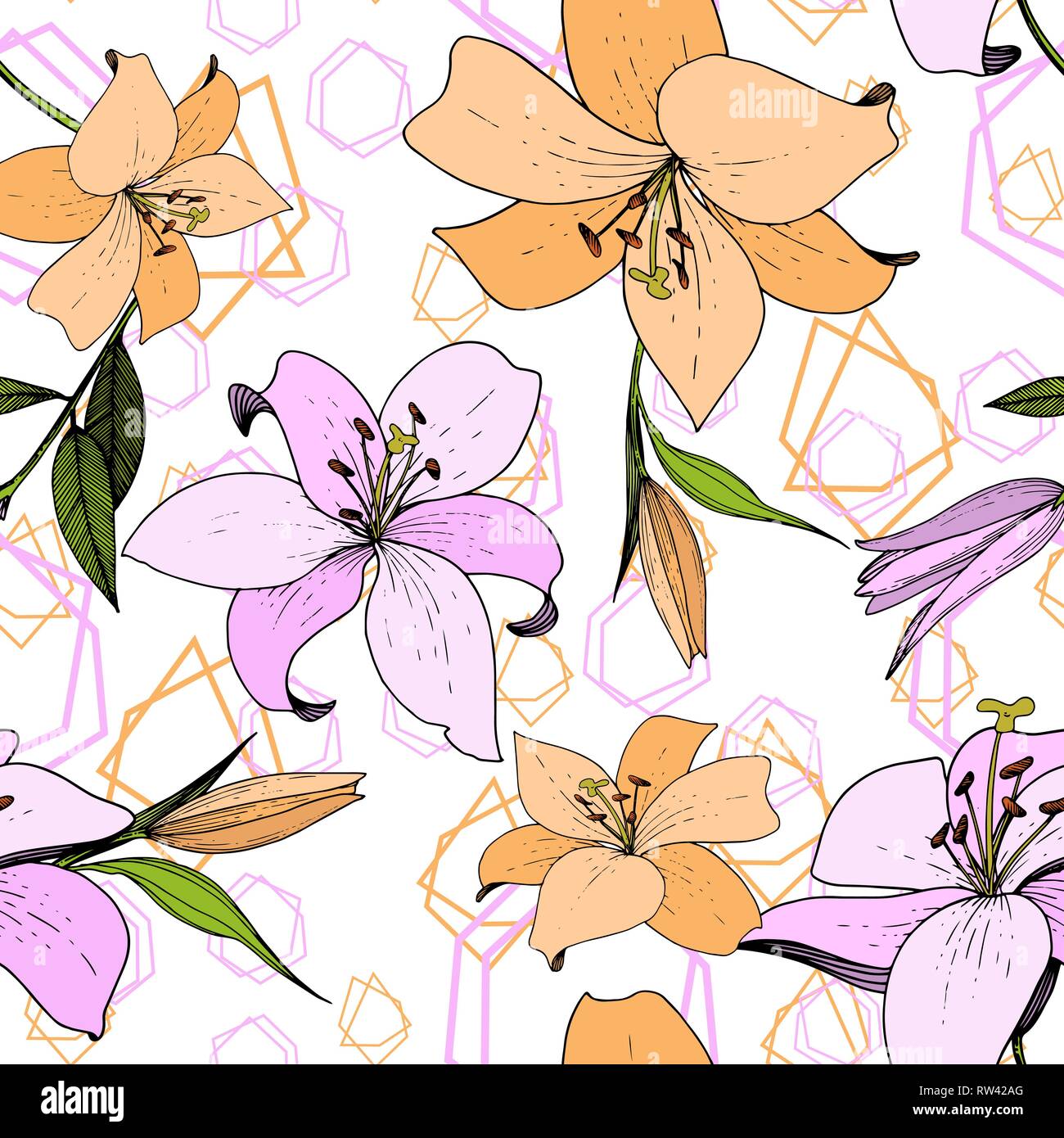 Vector Lily floral botanical flower. Engraved ink art. Seamless ...