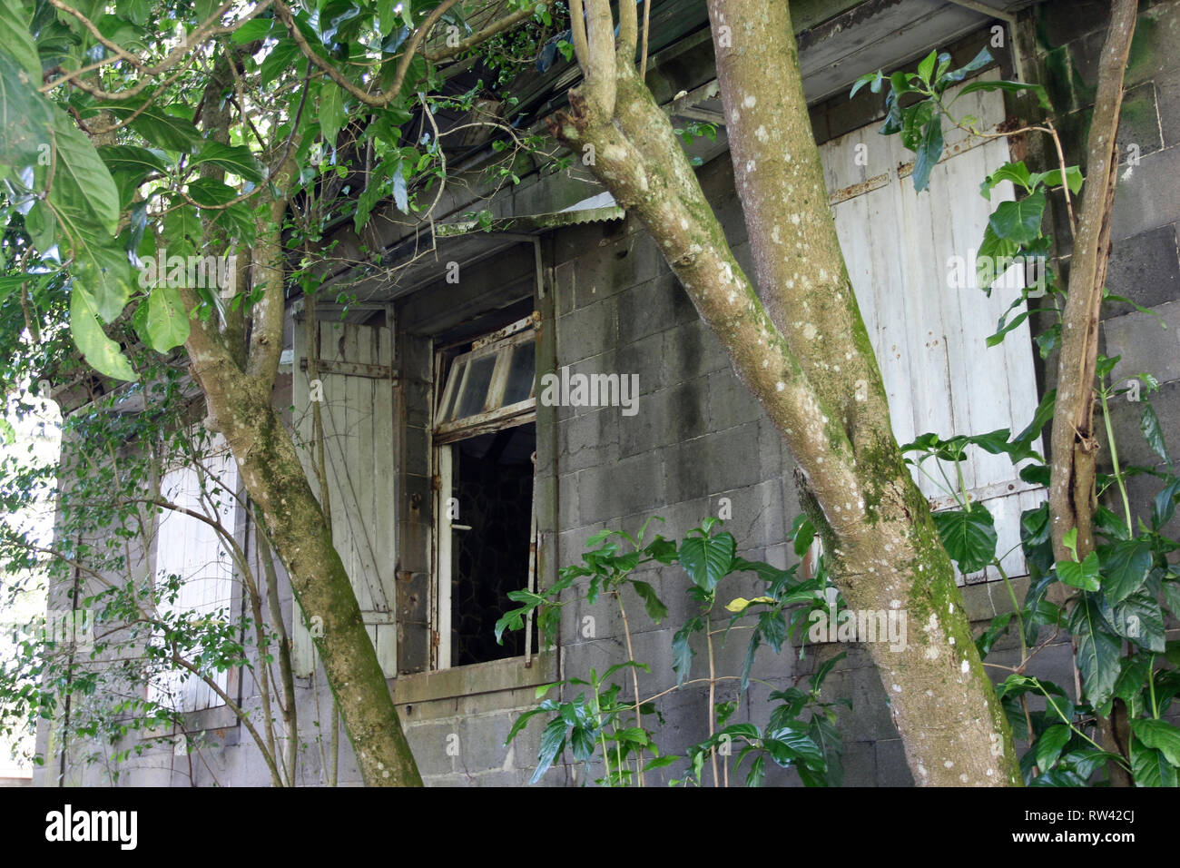 Château Bénarès est un petit village dans le sud, sis entre les ...