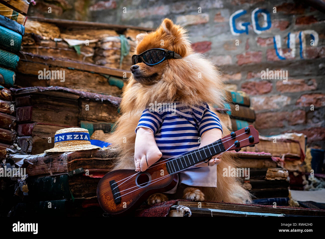 Dog masquerade hi-res stock photography and images - Alamy