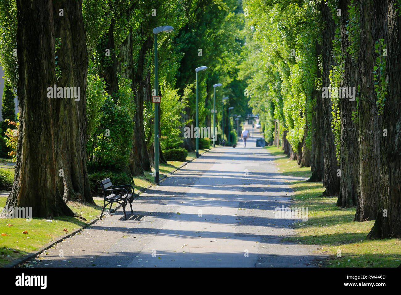 Ottostrasse directly at the volksgarten kray hi-res stock photography ...