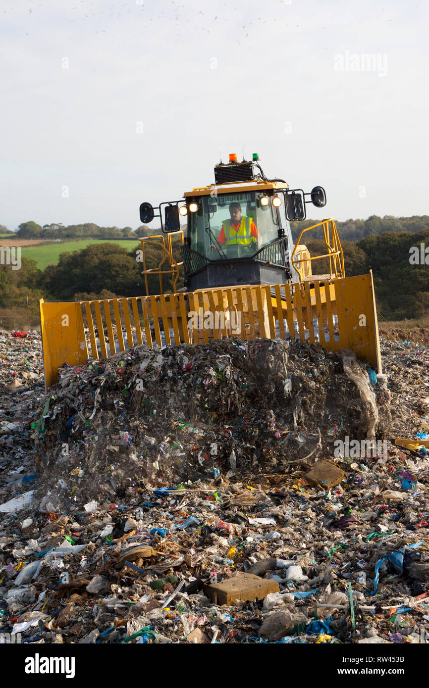 waste, rubbish, recycle, garbage, plant, collection, green, bin, wood ...