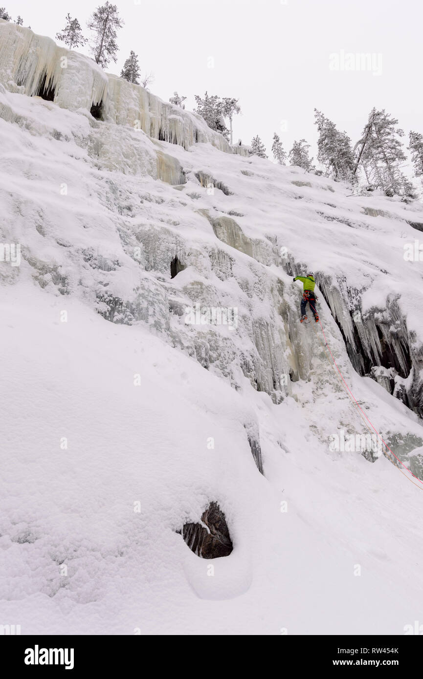 Frozen mammoth hi-res stock photography and images - Alamy