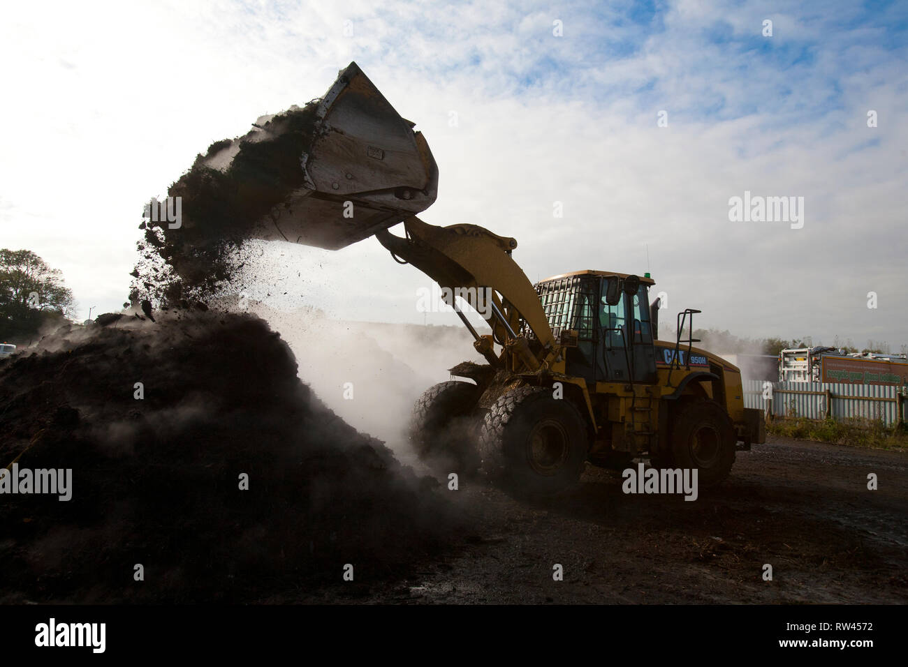 waste, rubbish, recycle, garbage, plant, collection, green, bin, wood ...