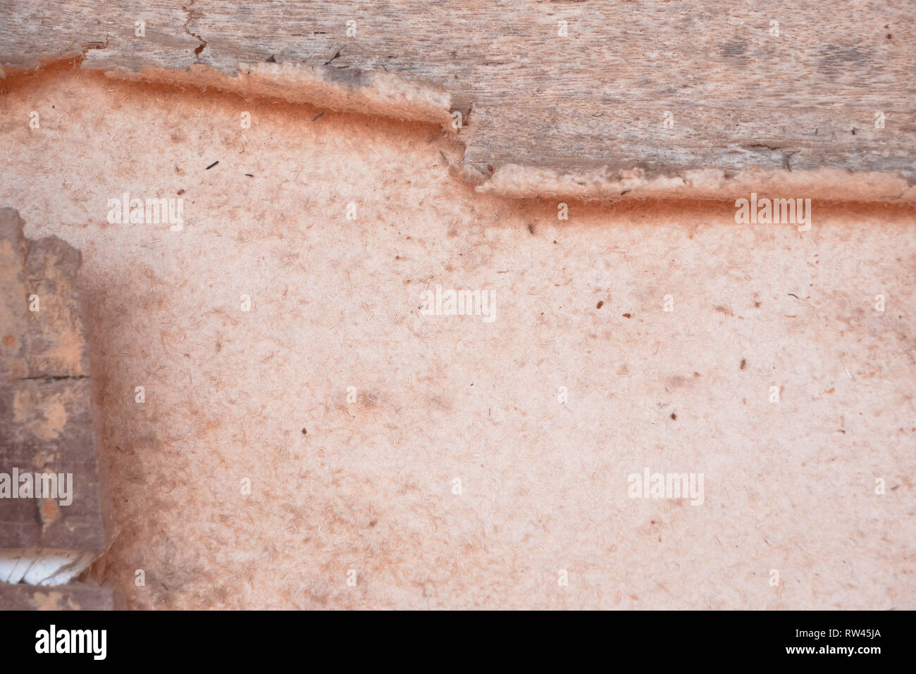 Torn wood texture hi-res stock photography and images - Alamy