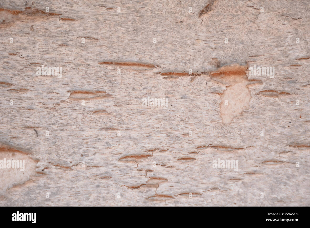 Torn wood texture hi-res stock photography and images - Alamy
