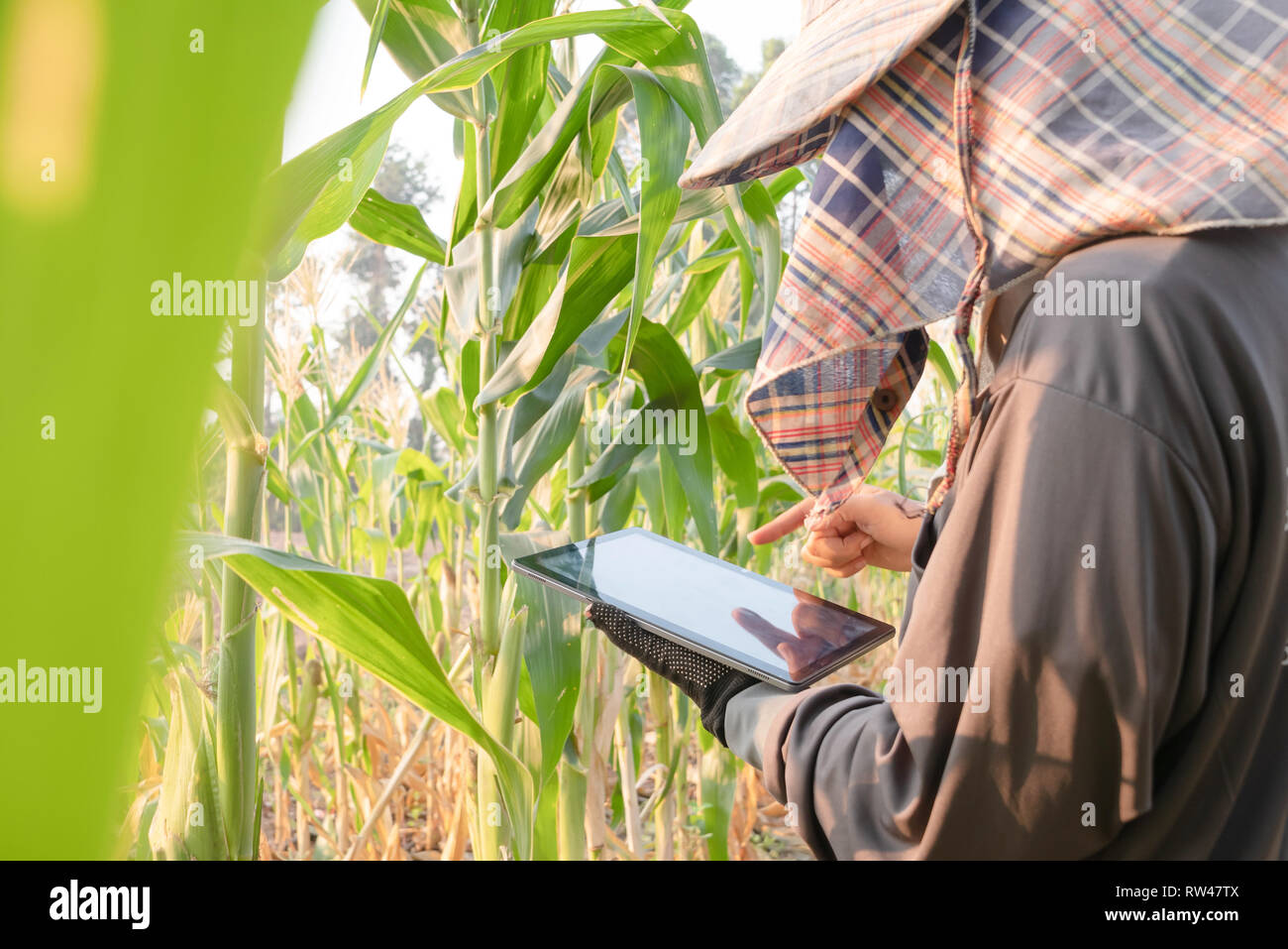 Data analysis farm hi-res stock photography and images - Alamy