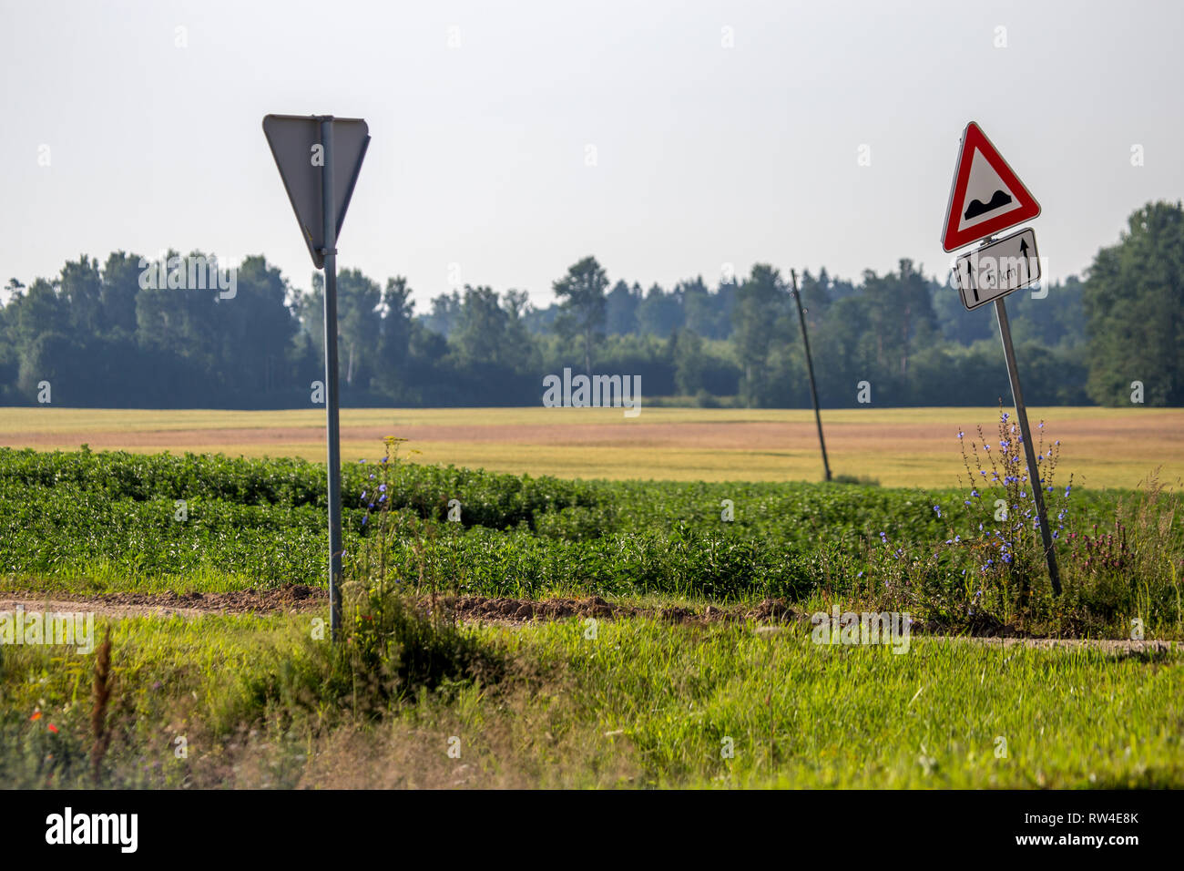 Road signs in countryside. Summer landscape with rural road, wood and ...