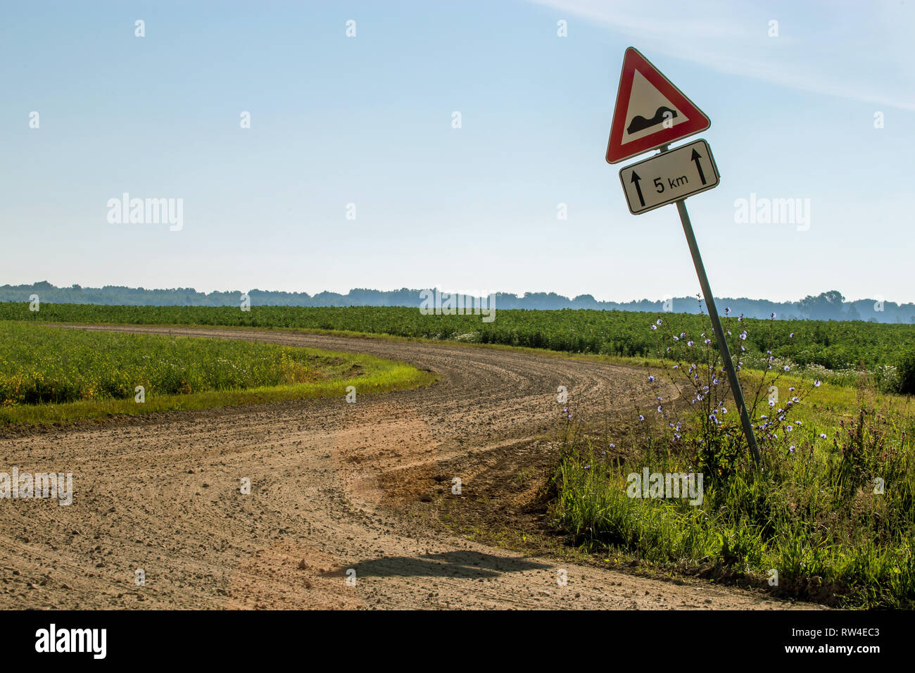 Road sign in countryside. Summer landscape with rural road, wood and ...