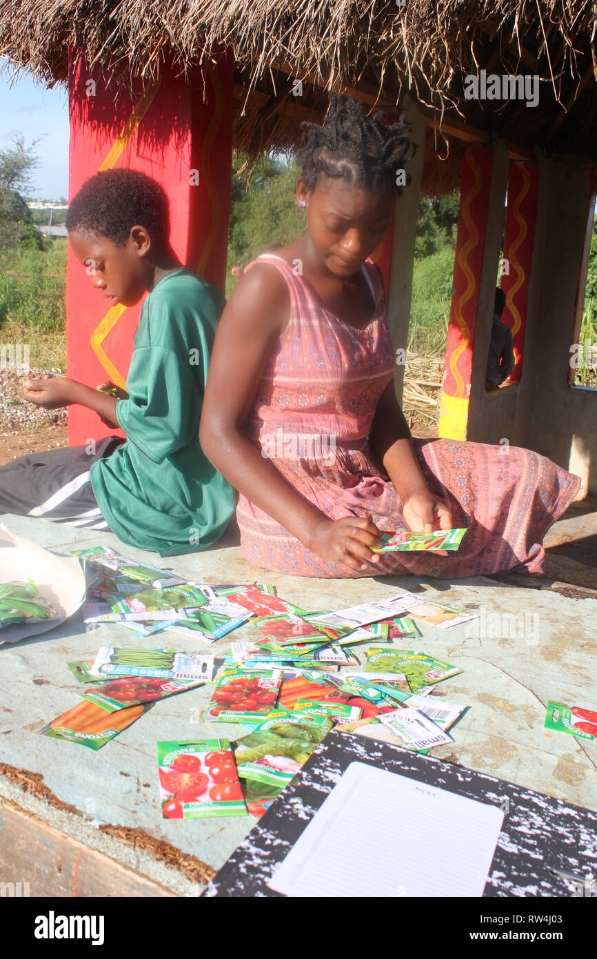 Sorting seed hi-res stock photography and images - Alamy