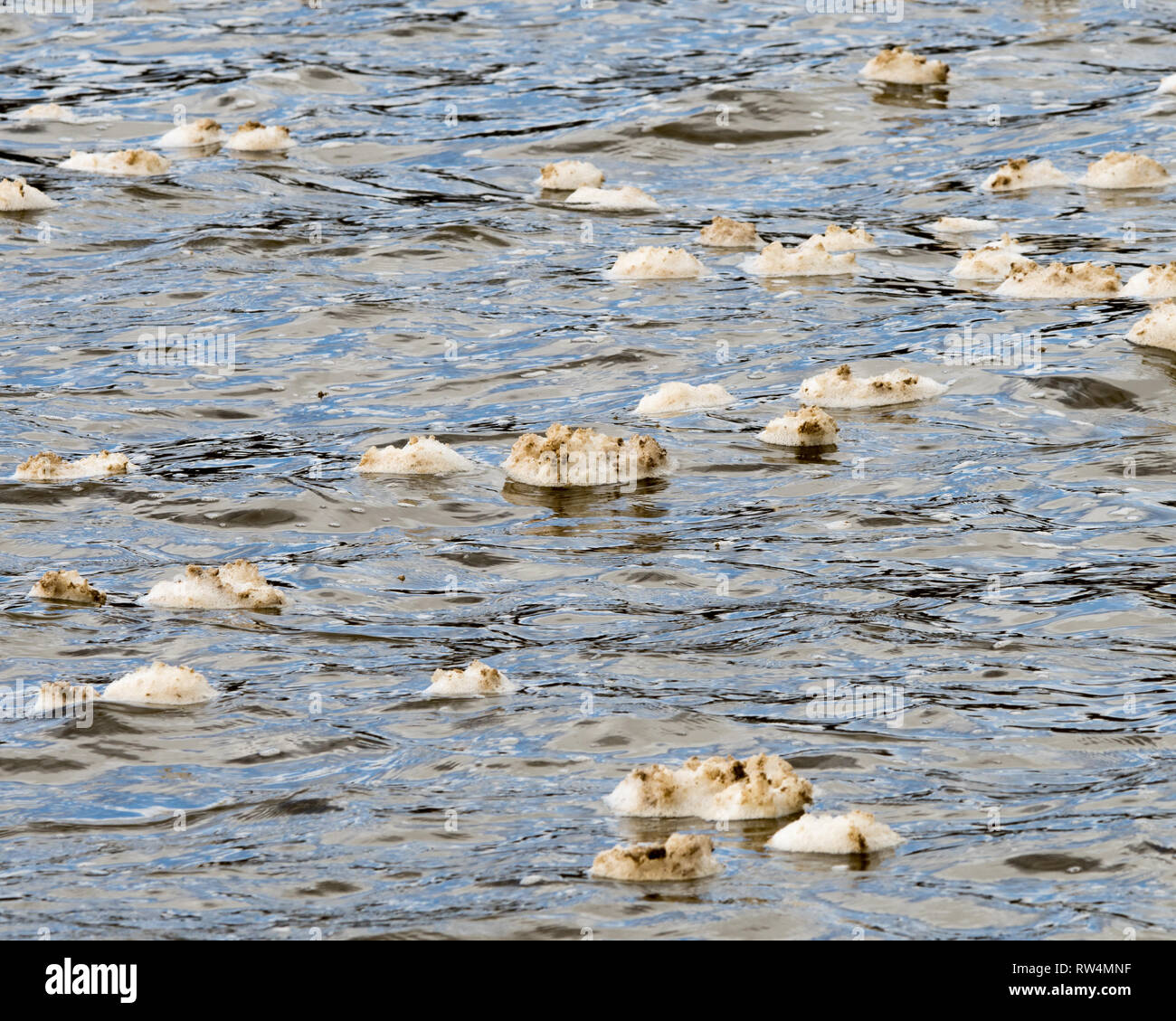 Spume sea foam ocean foam hi-res stock photography and images - Alamy