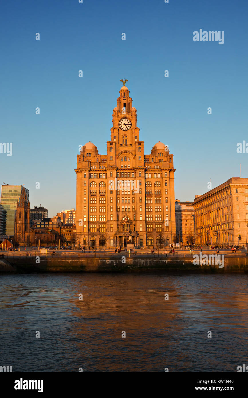 Liverpool's world famous waterfront buildings lit up by the late ...