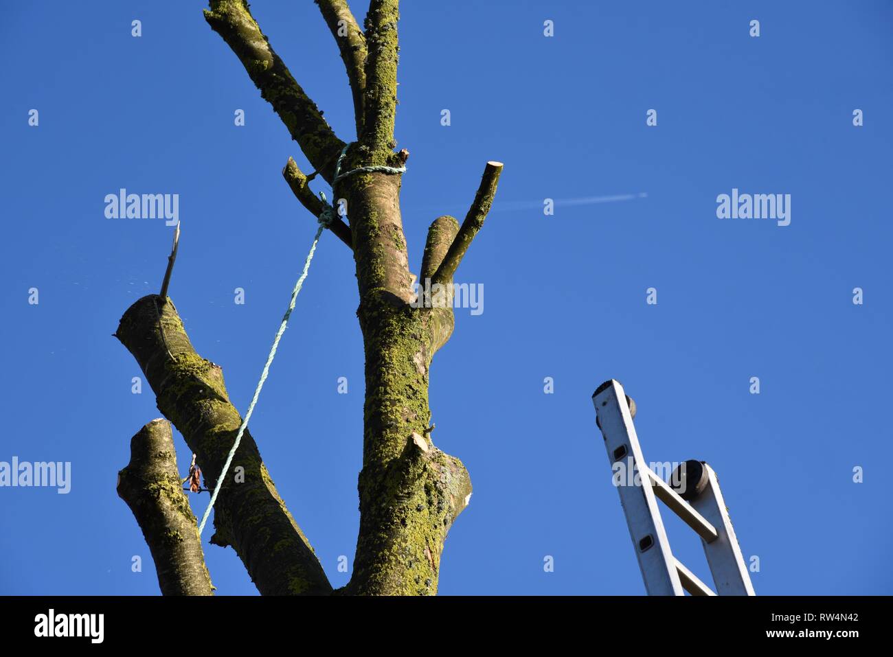 Extendable ladder hi-res stock photography and images - Alamy