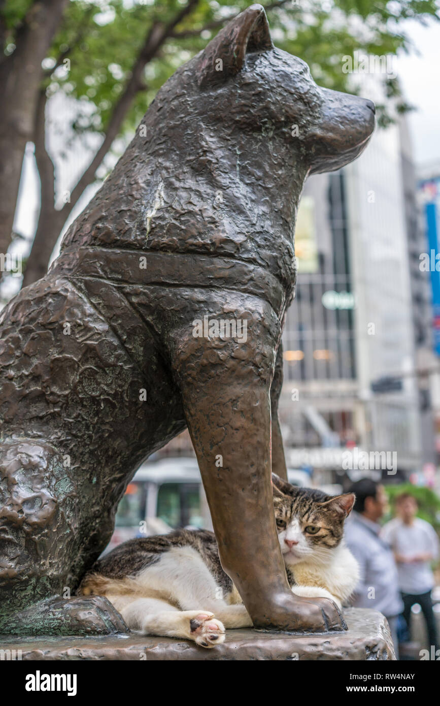 A cat resting on the Hachiko dog statue at Shibuya station. meeting ...