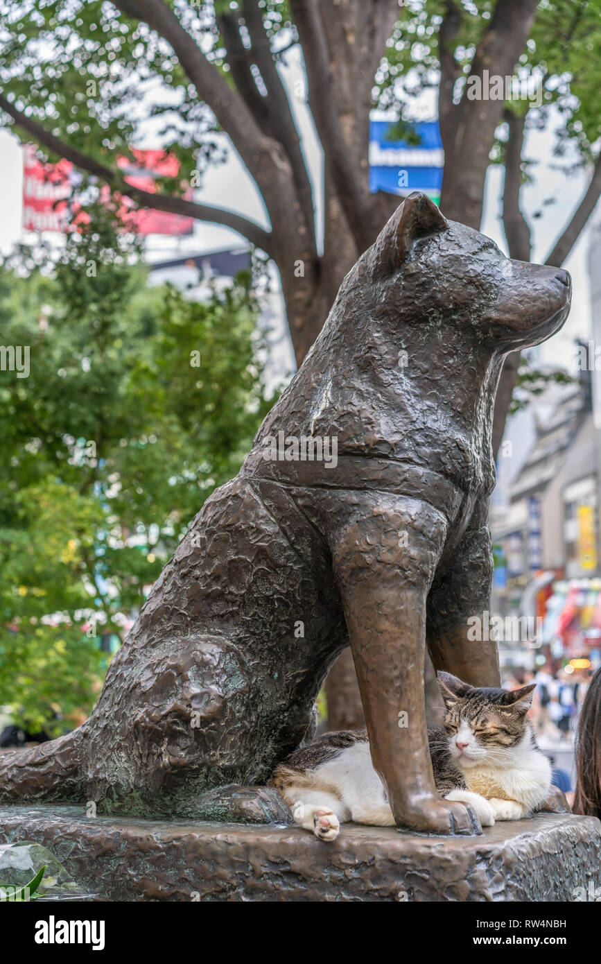 A cat resting on the Hachiko dog statue at Shibuya station. meeting ...