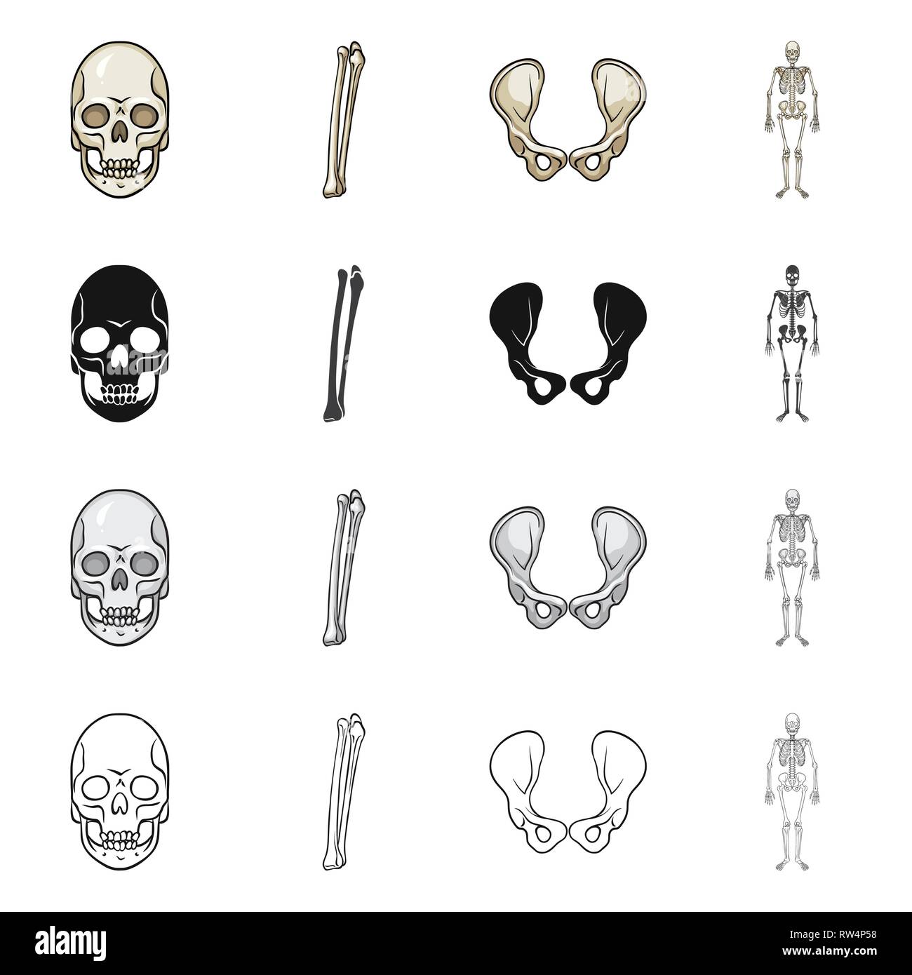 skull,femur,hip,musculoskeletal,death,joint,scientific,monster,leg ...