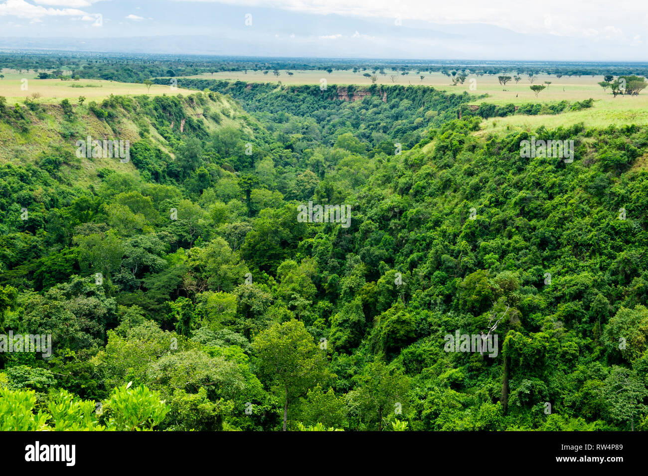 View over Kyambura Gorge, Queen Elizabeth NP, Uganda Stock Photo - Alamy