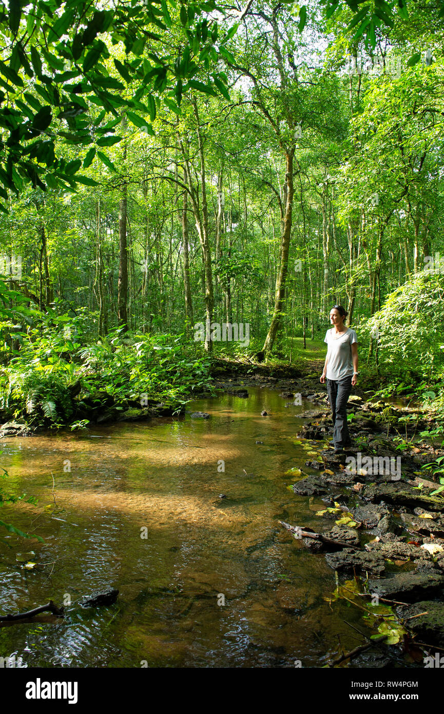 Tourist hiking in Maramagambo Forest, Queen Elizabeth NP, Uganda Stock ...