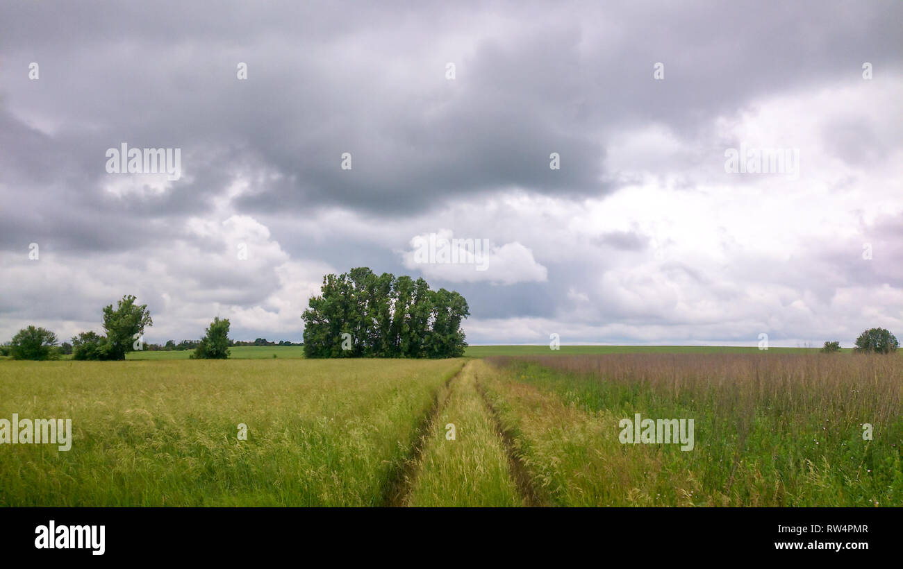 Straight road between two hi-res stock photography and images - Alamy