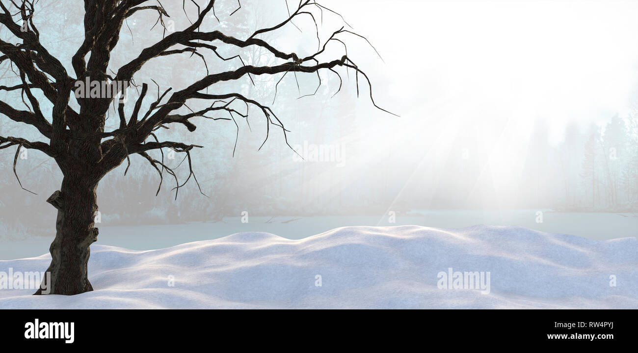 scary tree in the snow with sun rays in the background ,3d illustration ...