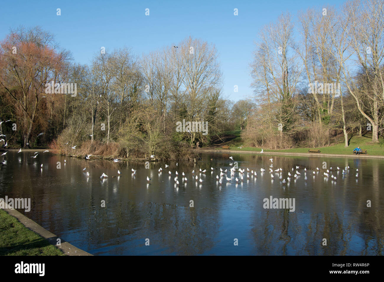 Abington lake hi-res stock photography and images - Alamy