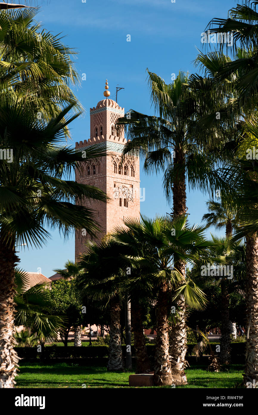 The famous minaret of Koutoubia Mosque as seen through palm tree leaves ...
