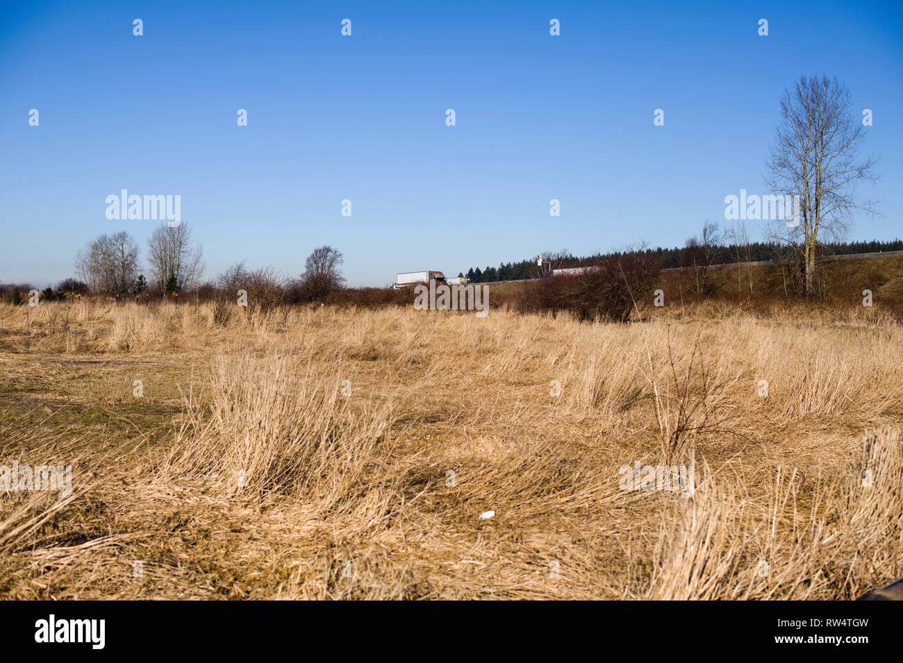 Mud Bay Park in Surrey, British Columbia, Canada Stock Photo - Alamy