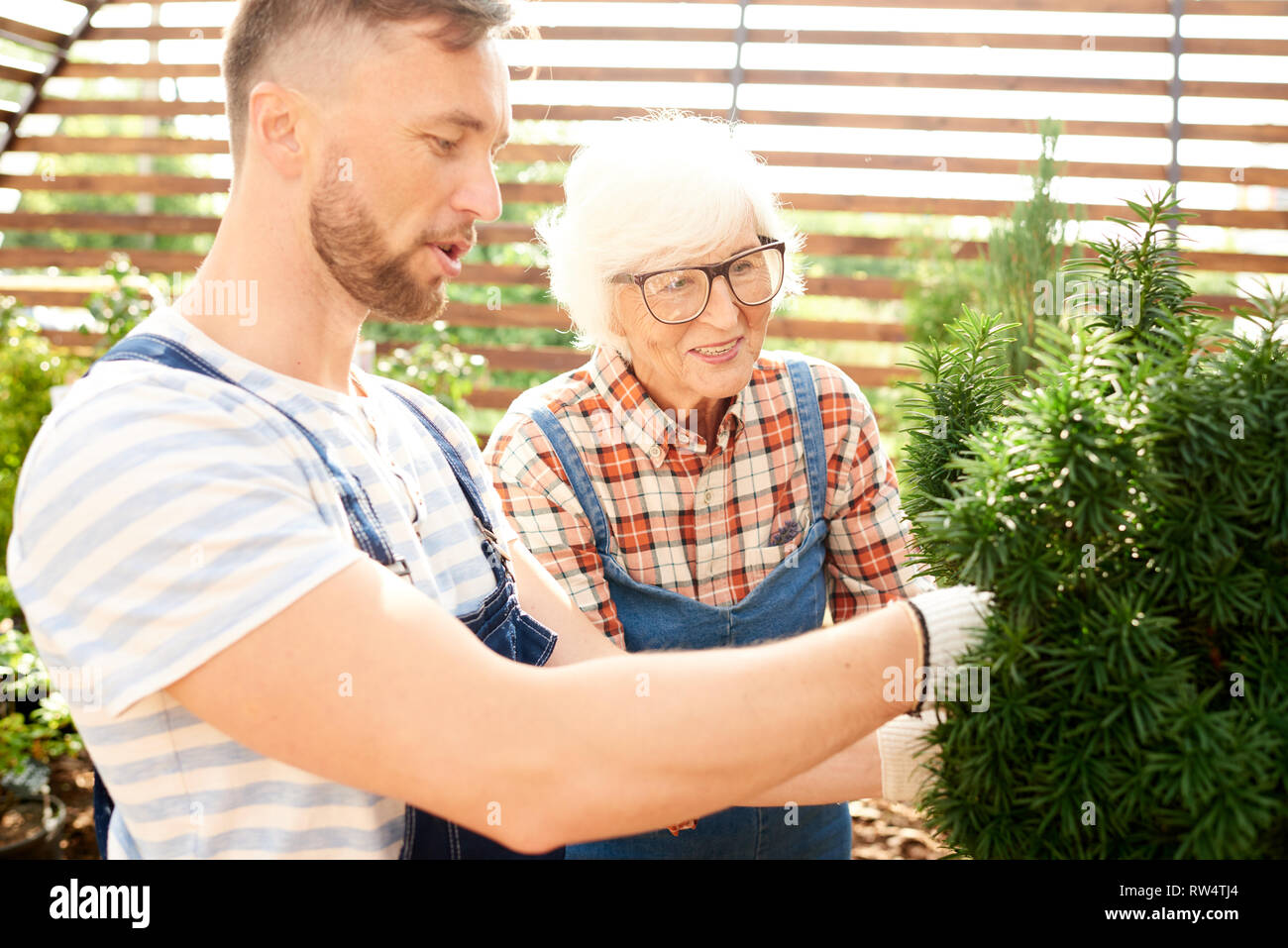 Caring for plants hi-res stock photography and images - Alamy
