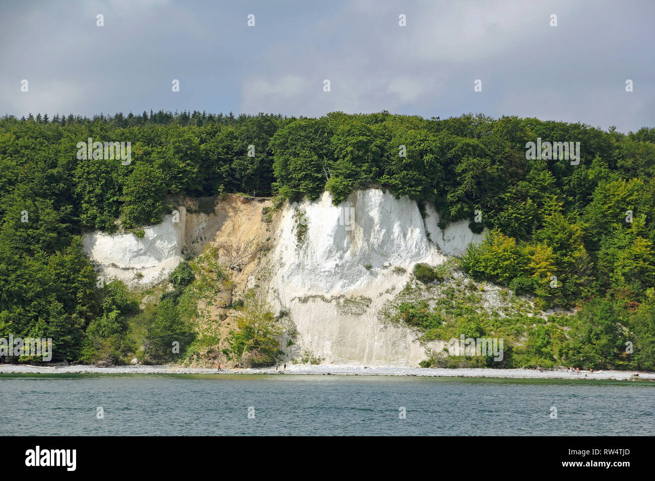 Cliff coast on the island of Rügen in Germany Stock Photo - Alamy