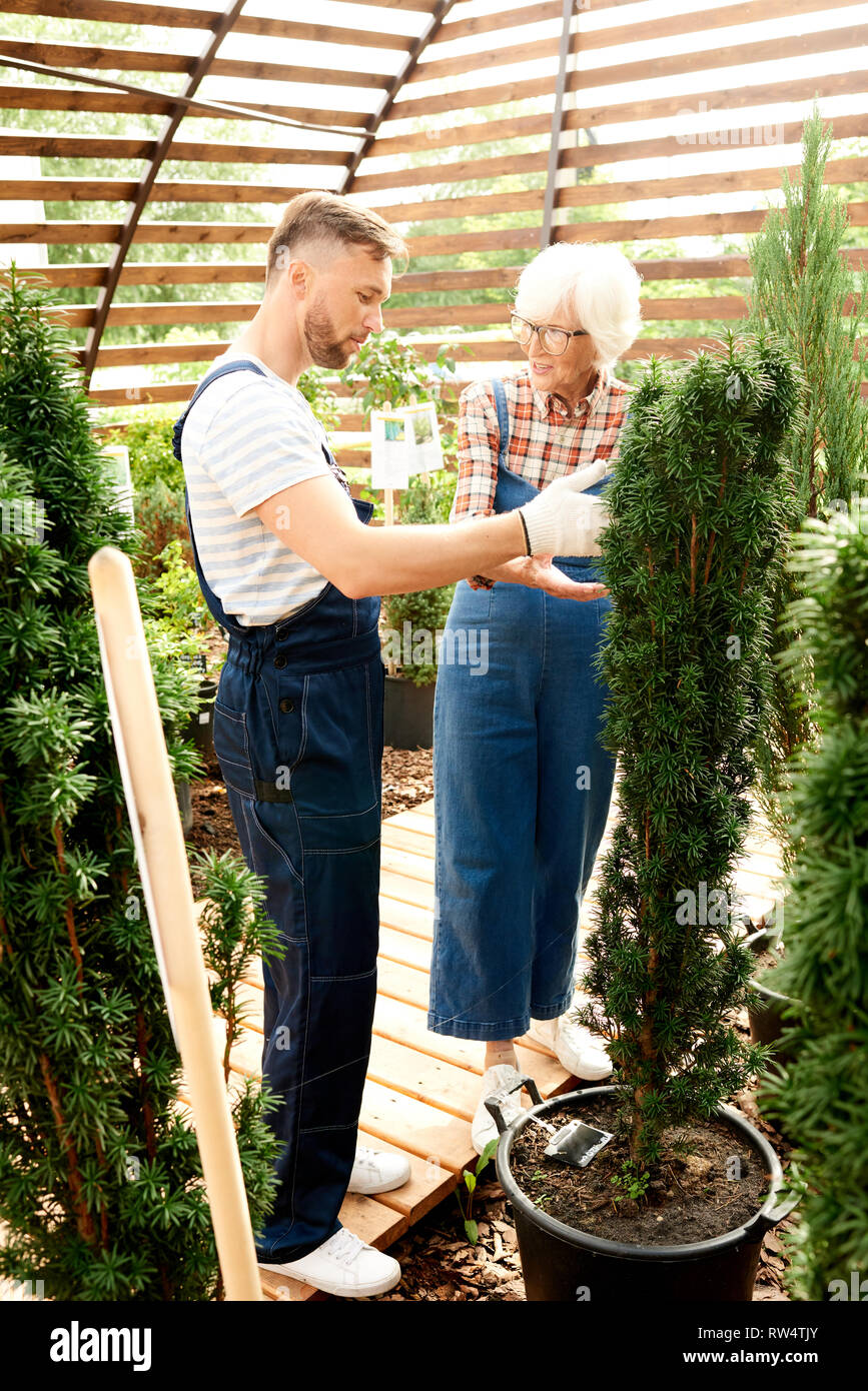 Farm workers work in nursery hi-res stock photography and images - Alamy