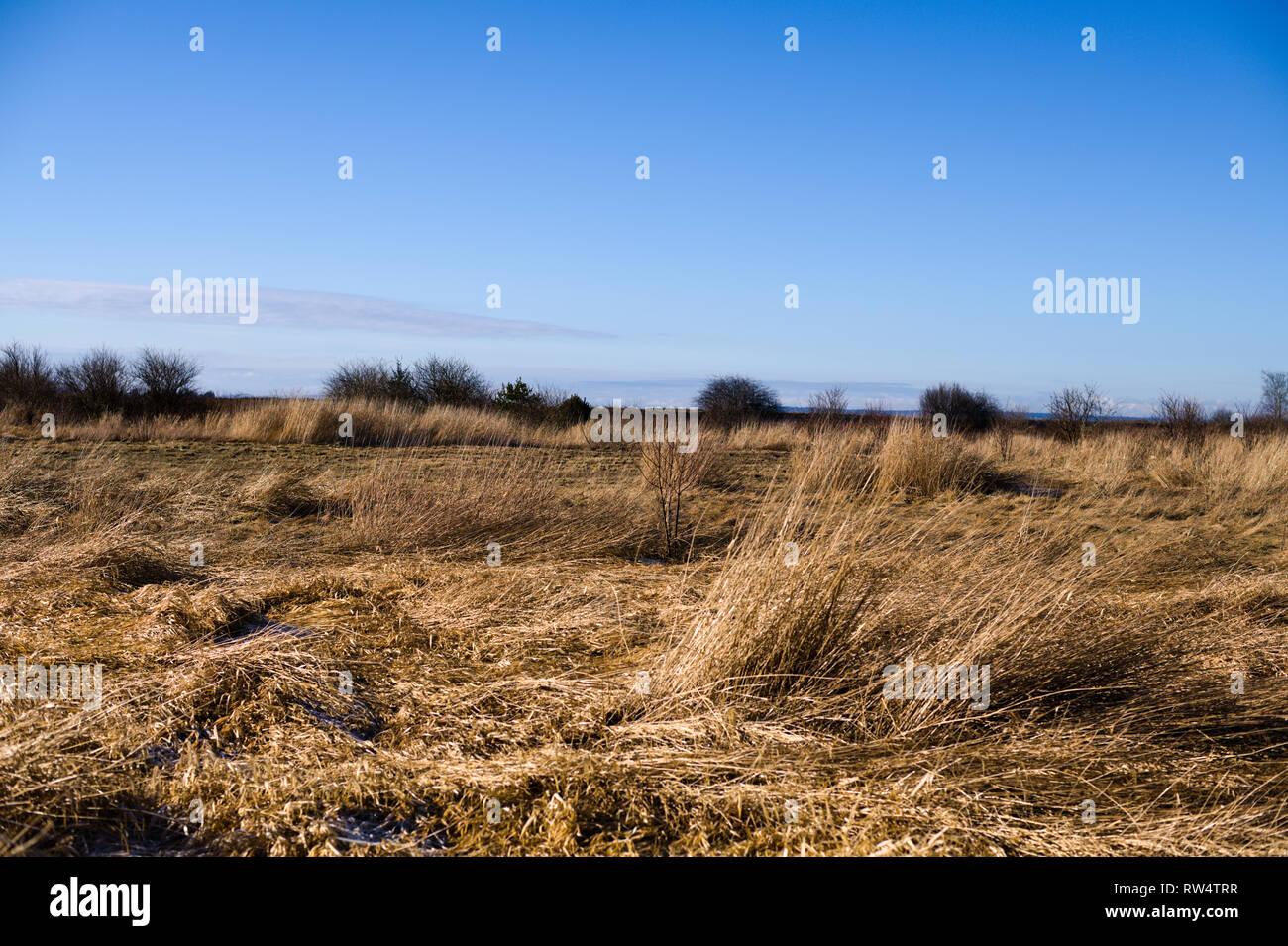 Stark bay hi-res stock photography and images - Alamy