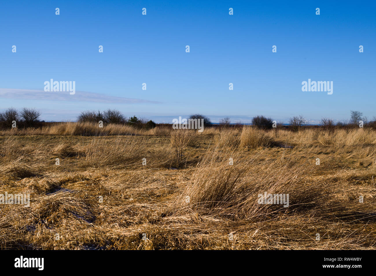 Mud Bay Park in Surrey, British Columbia, Canada Stock Photo - Alamy