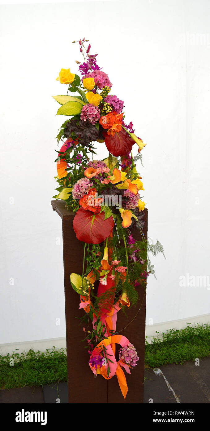 Tall flower arrangement hi-res stock photography and images - Alamy