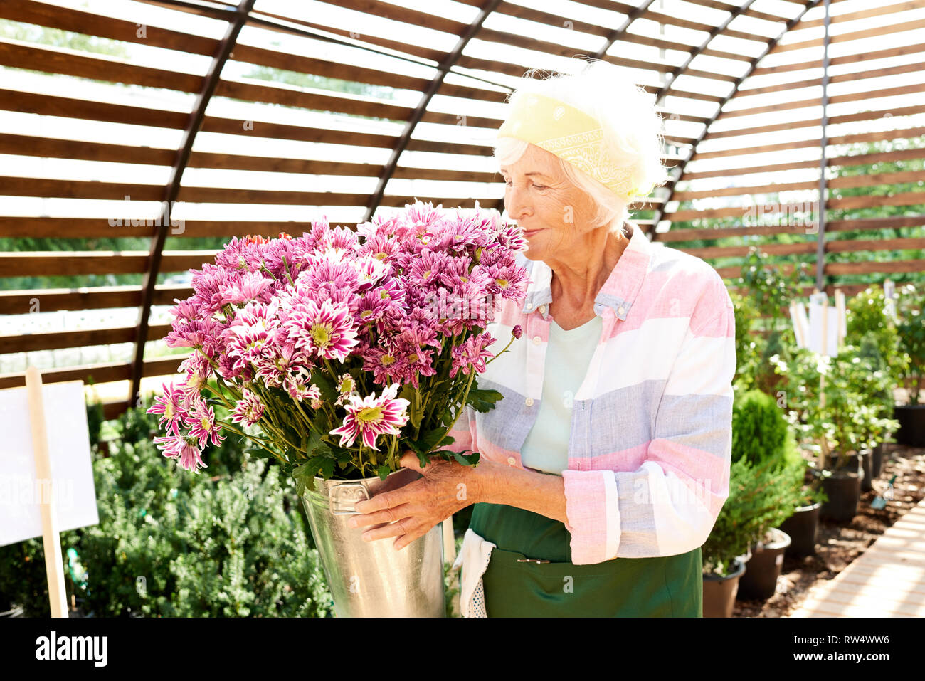 Smelling flowers elderly hi-res stock photography and images - Alamy
