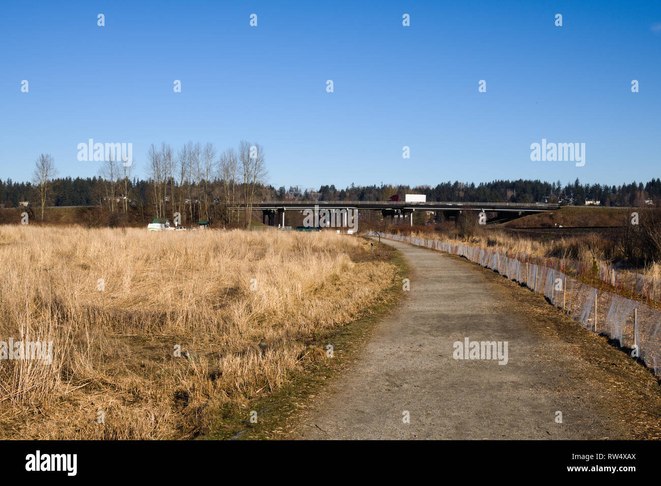Mud Bay Park in Surrey, British Columbia, Canada Stock Photo - Alamy