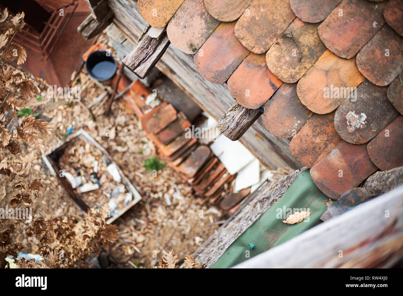 Old Things Photography