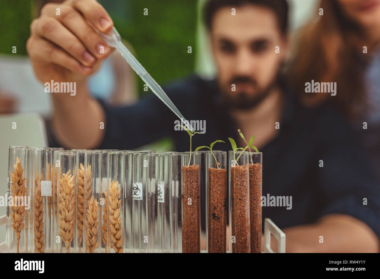 University biologist is analyzing the sample of plant in the lab tube ...